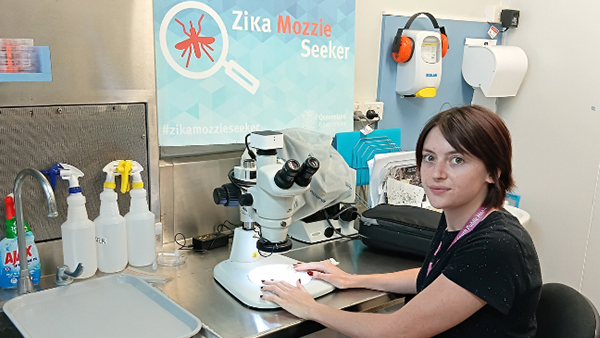 Citizen scientists needed for world-first mosquito project | Metro ...