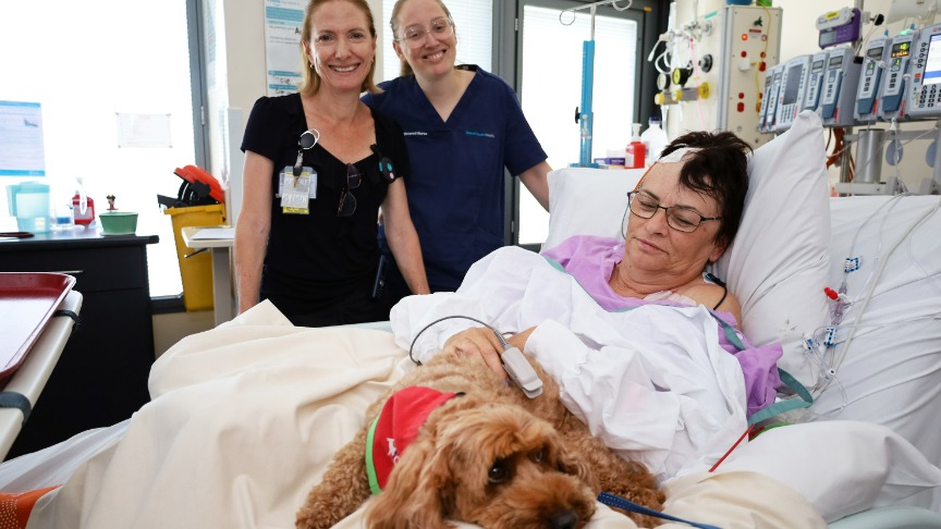 Sniffing out the human-animal connection in ICU | Metro South Health